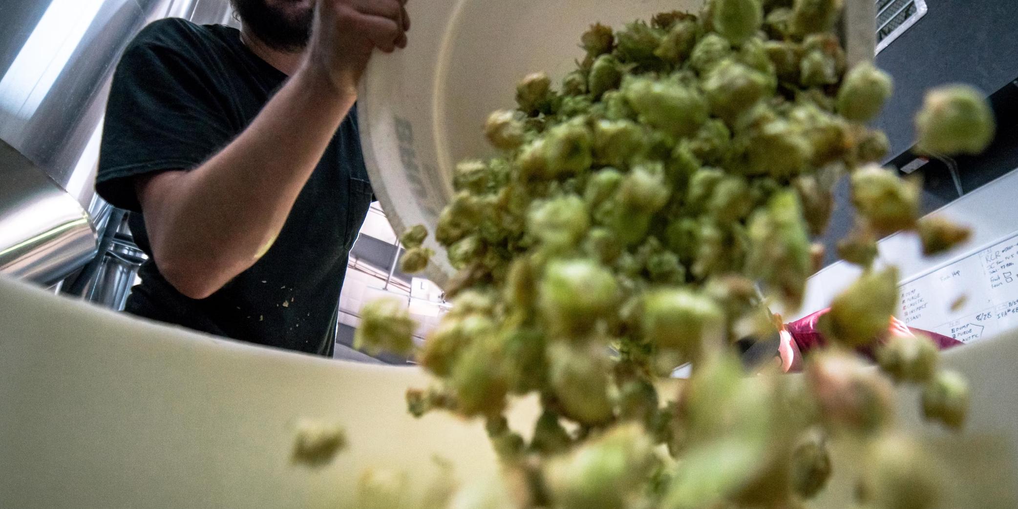 How legislation on separating food waste in France can become a ...